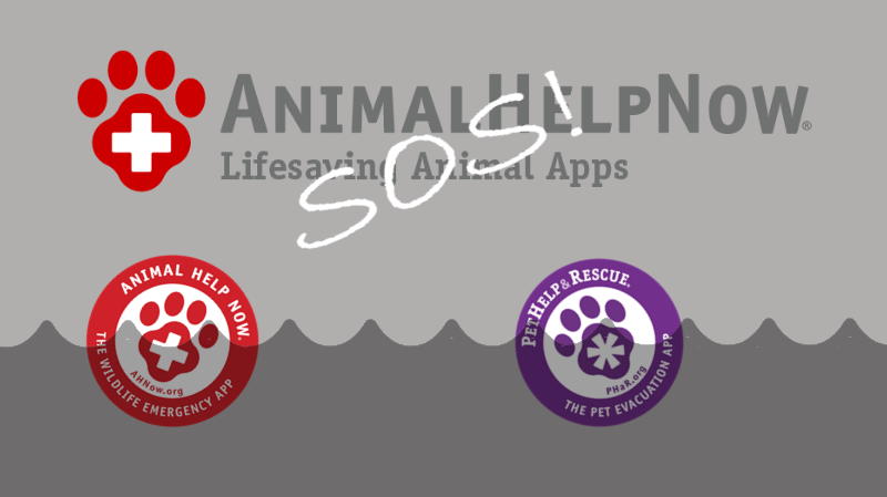 Crisis: Lifesaving Animal Apps Need Your Support Today